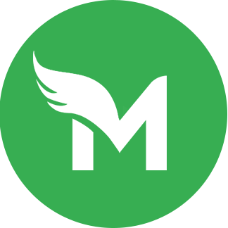 Best Shopify Alternatives for Your E-Commerce Store in 2024 - Mavenbird