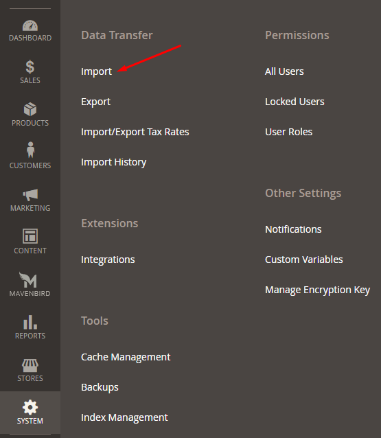 Magento 2 Import & Export Customers: The Ultimate Guide - Mavenbird