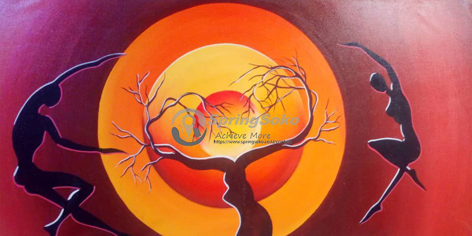 SpringSoko B2B & D2C Solutions | Magento Upgradation & Multi-Vendor Dropship - Mavenbird